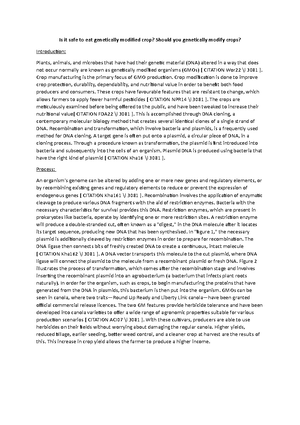 CXC IT P2 2022 - ..... - CSEC Information Technology - Studocu