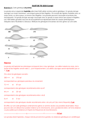 Génétique formelle - TD - 2022 - Licence Biologie Géologie Chimie 1ère ...