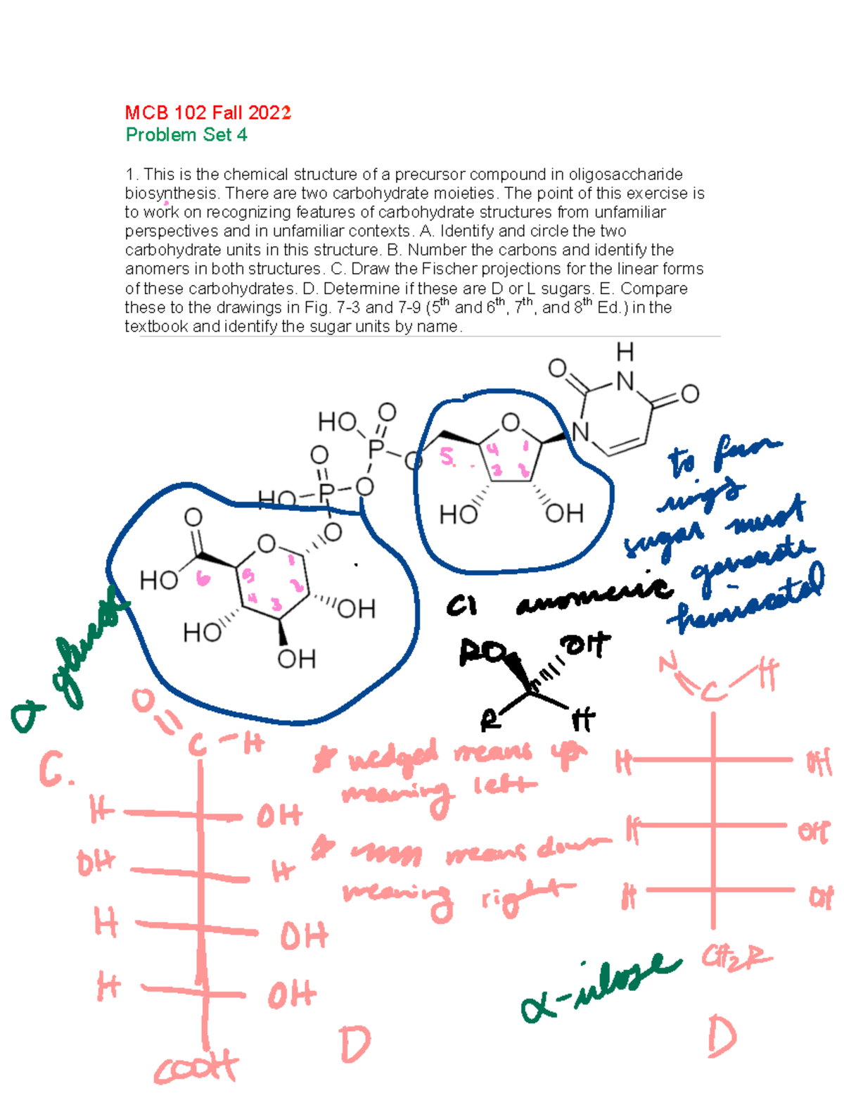 Pset 4 - very good for practicing! - MCB 102 Fall 2021 Problem Set 4 ...