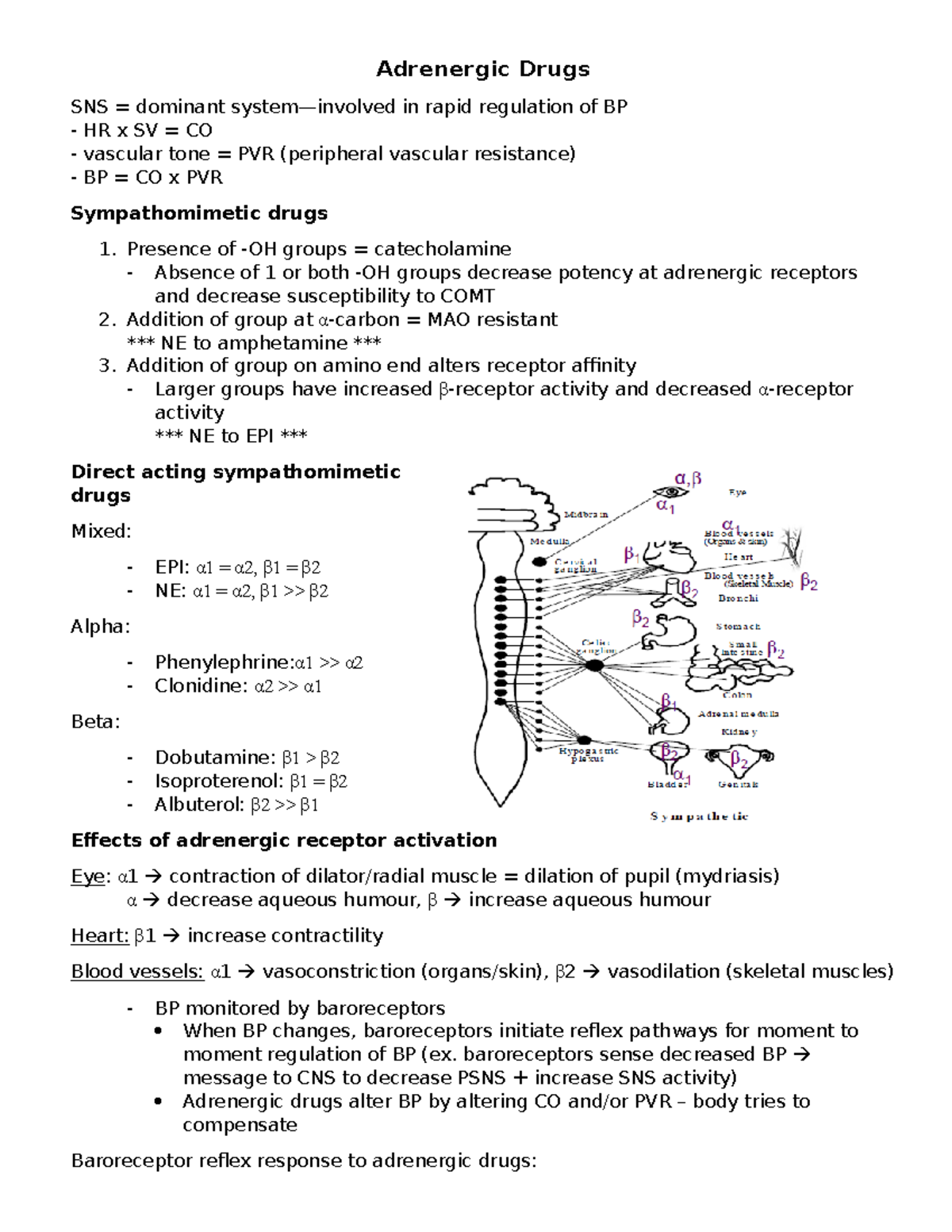 Adrenergic drugs - W19 - Adrenergic Drugs SNS = dominant system ...