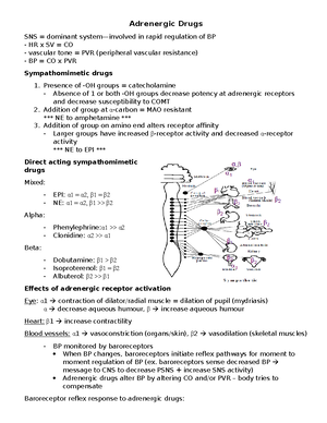 Master Drug List - BIOM 3090 FINAL EXAM - BIOM 3090 MASTER DRUG LIST ...