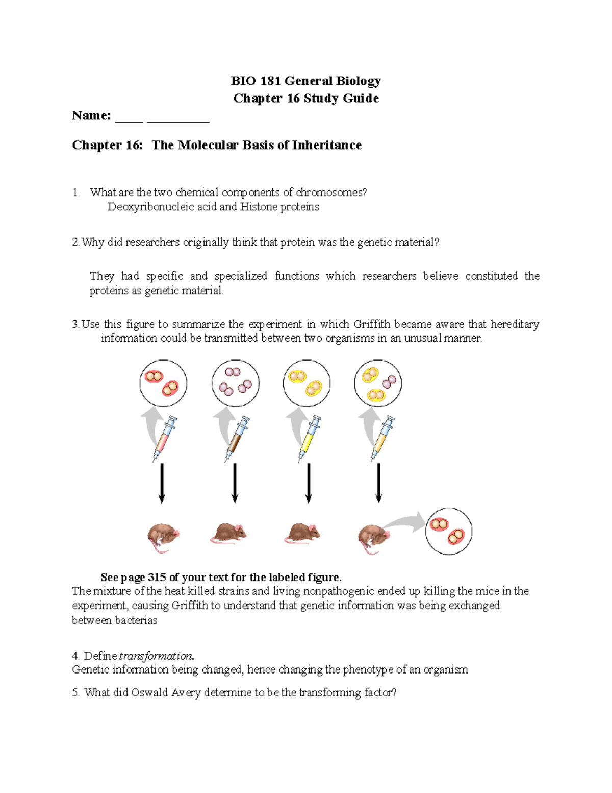 Chap 16 study guide finished - BIO 181 General Biology Chapter 16 Study ...