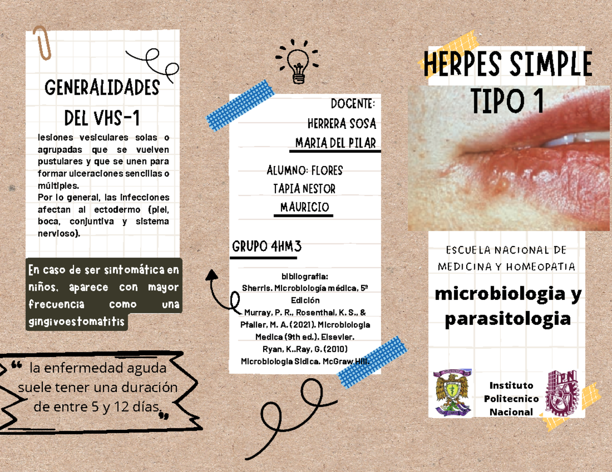 Folleto herpes simple t1 - HERPES SIMPLE TIPO 1 GENERALIDADES DEL VHS ...