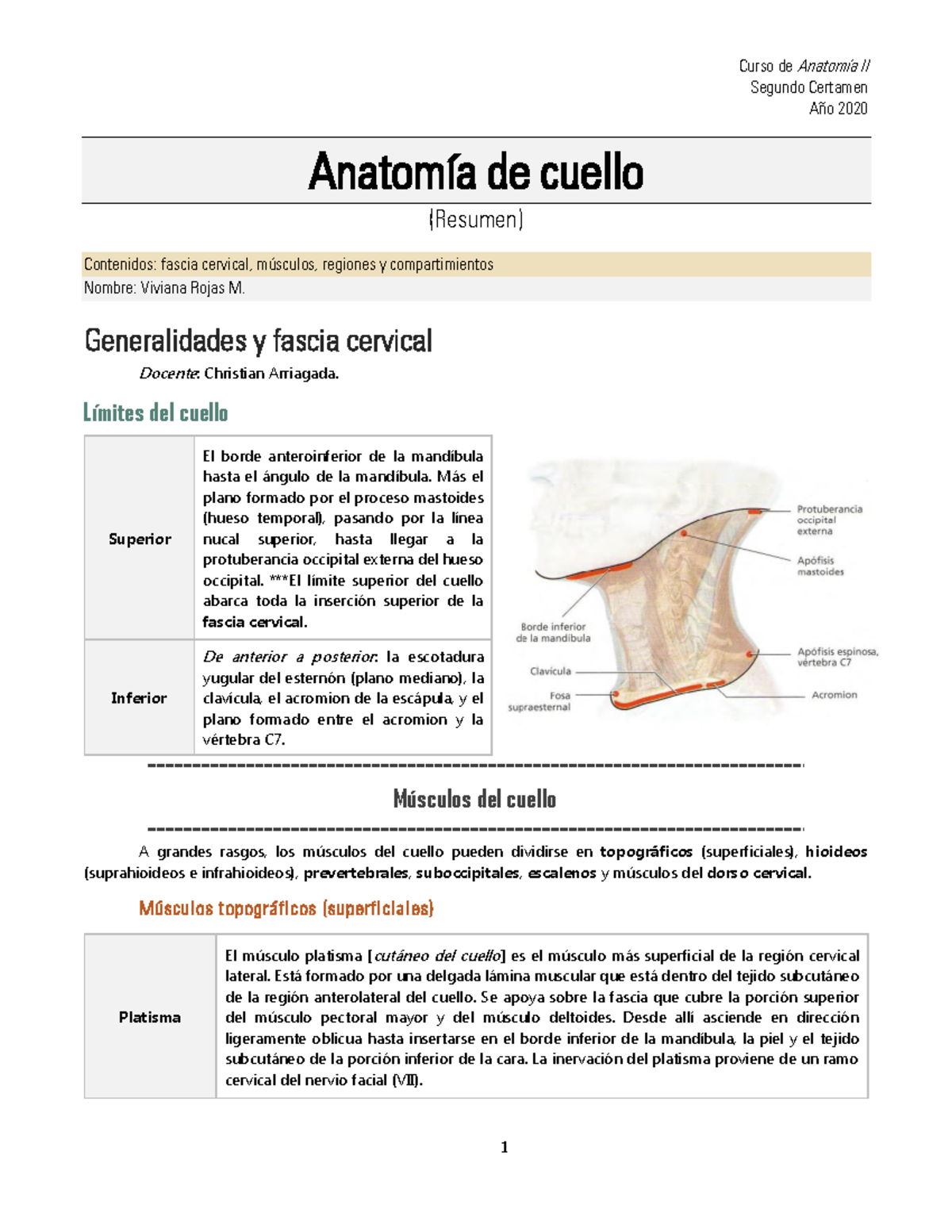 Resumen de cabeza y cuello - Segundo Certamen Año 2020 Anatomía de cuello (Resumen) Contenidos ...