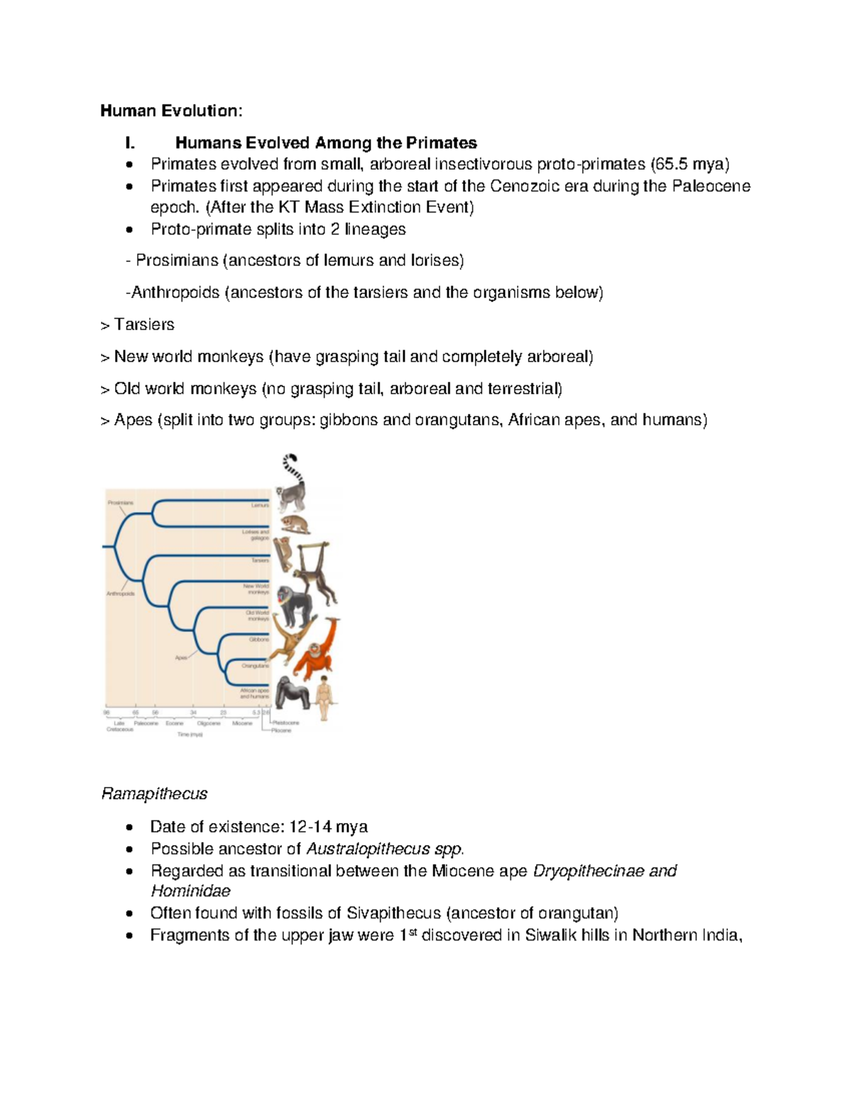 LEC 14 Human Evolution - Human Evolution: I. Humans Evolved Among the ...
