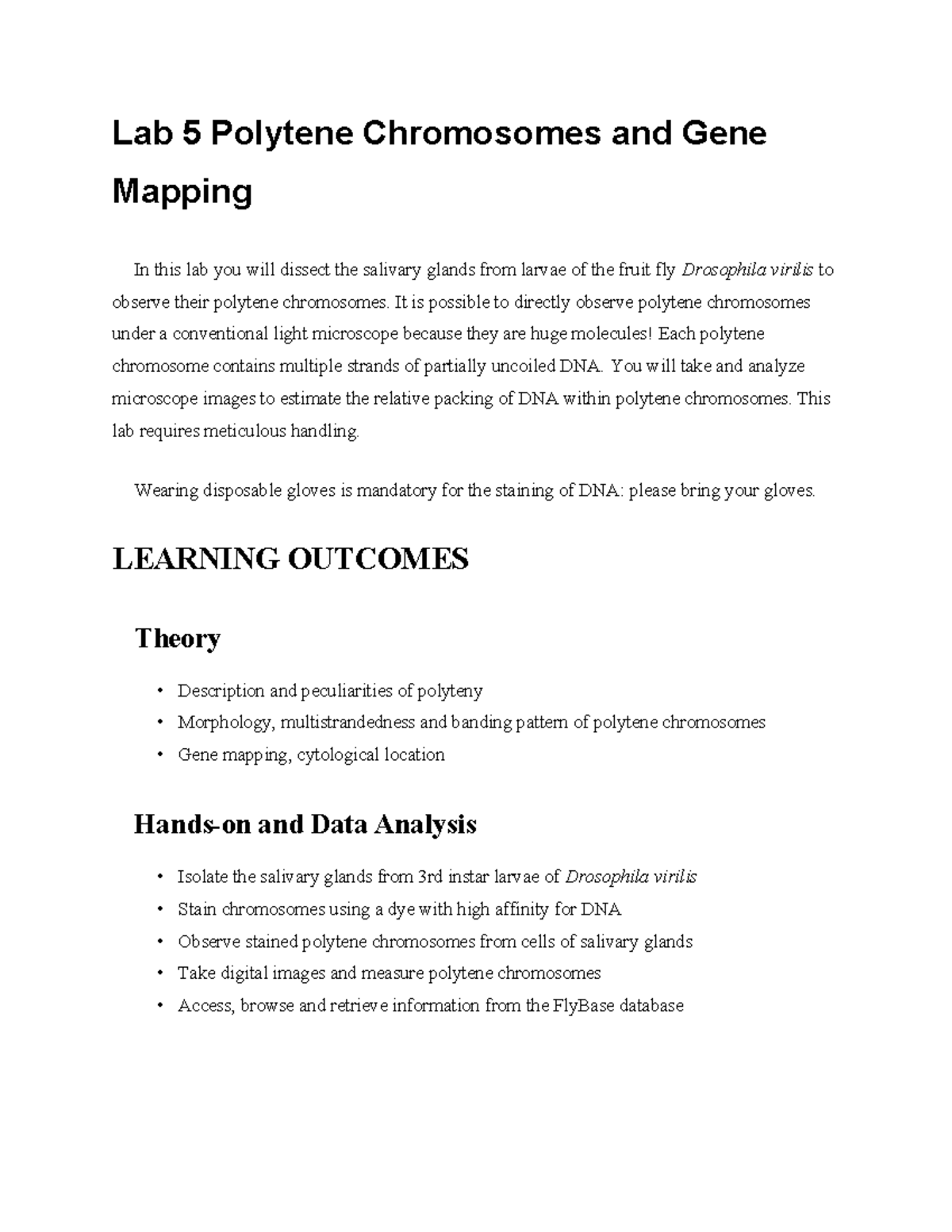 Lab 5 - Lab 5 Polytene Chromosomes and Gene Mapping In this lab you ...