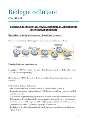 Fiche sur les jonctions cellulaires - 1 Jonction d’ancrage/d’adhésion L ...