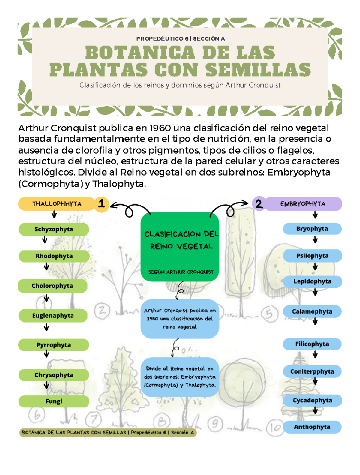Clasificación según Arthur Cronquist 20230918 135450 0000 - Arthur ...