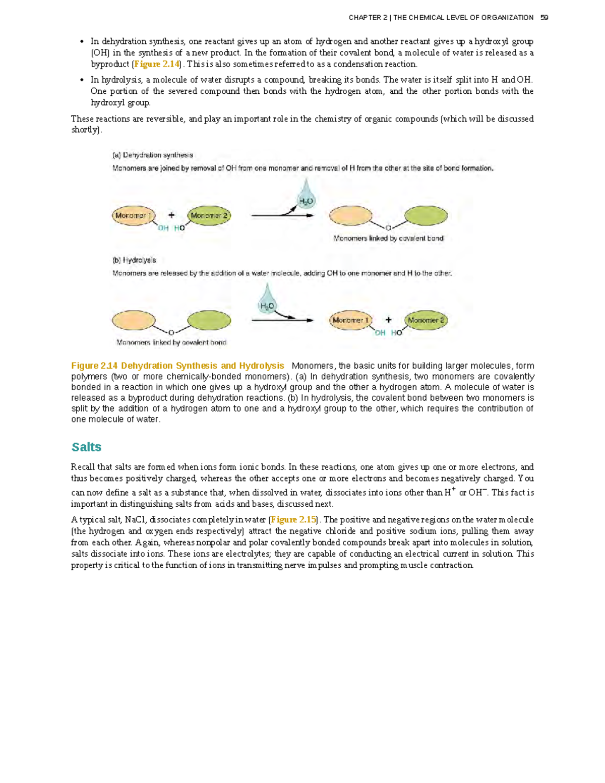 Anatomy-physiology-23 - In dehydration synthesis, one reactant gives up ...