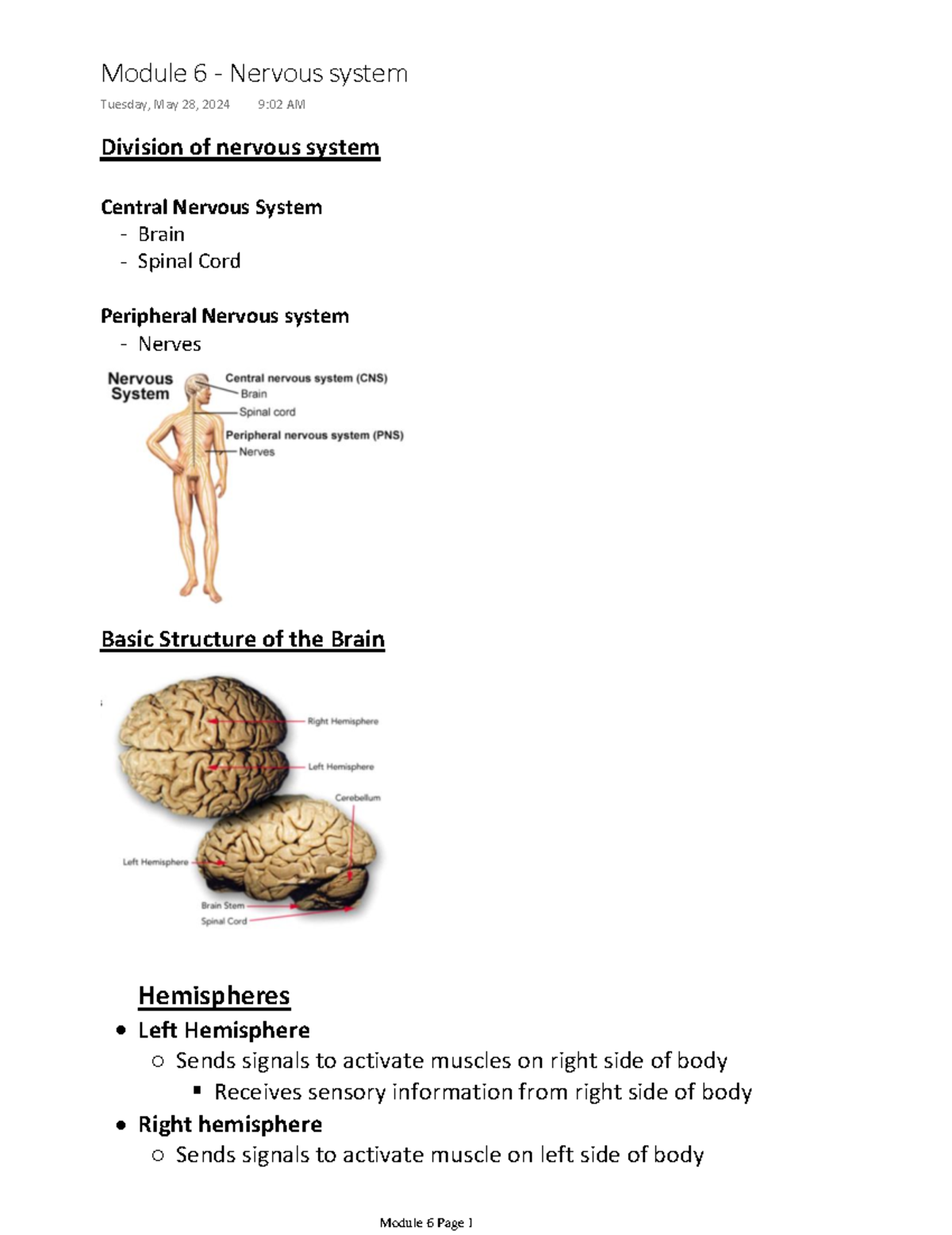 Module 6 - Nervous System - Division of nervous system Central Nervous System - Brain - Spinal ...