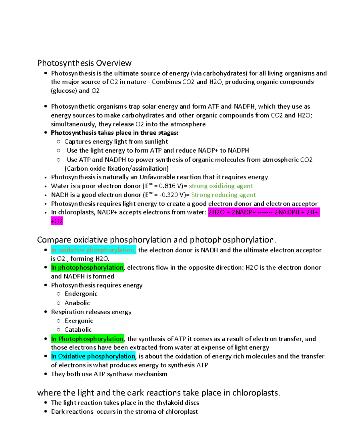 Additional-Photosynthesis-2 - Photosynthesis is the ultimate source of ...