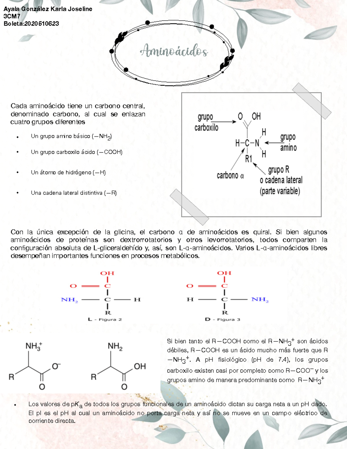 Aminoacidos - Material de repaso bioquímica - Aminoácidos Cada ...