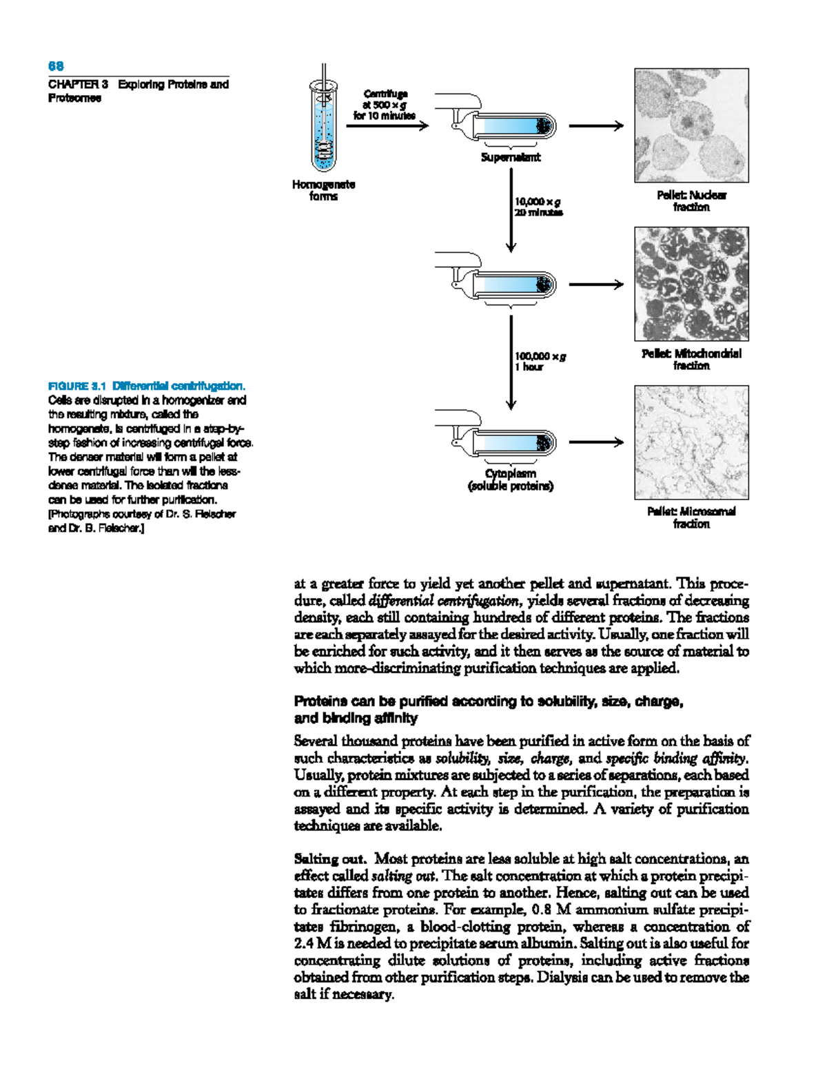 Biochemistry book review practice problems and the like - BIOL 2323 ...