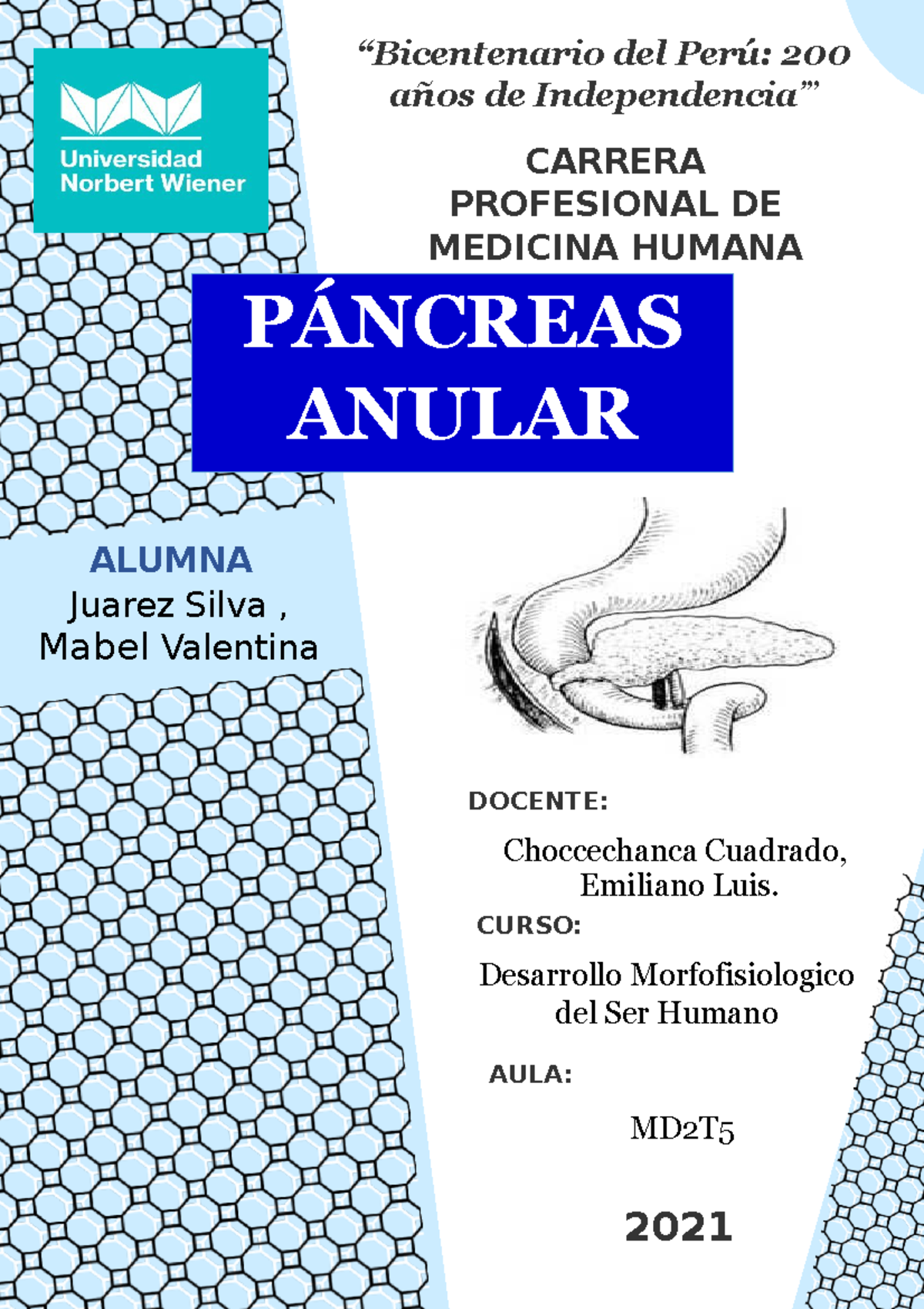 Páncreas Anular word - Morfofisiologia - Uwiener - Studocu