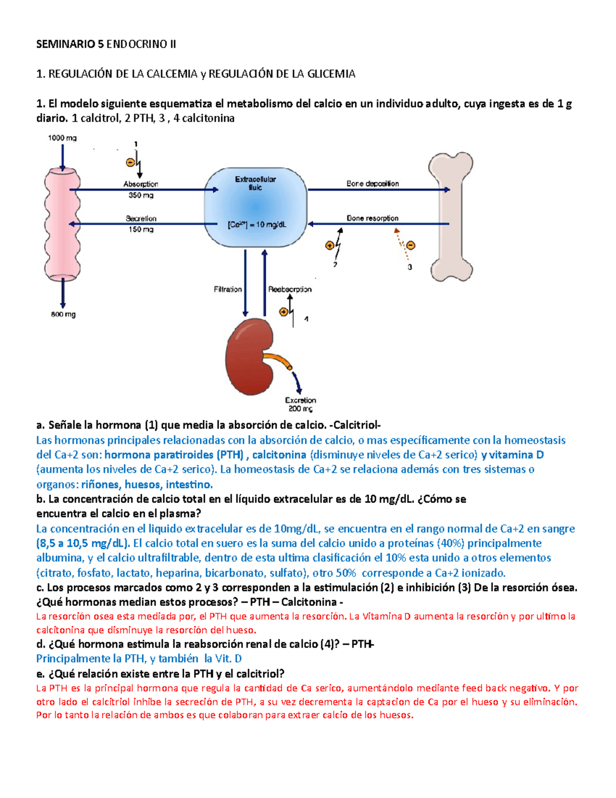 Seminario 5 Endocrino II - SEMINARIO 5 ENDOCRINO II 1. REGULACIÓN DE LA ...