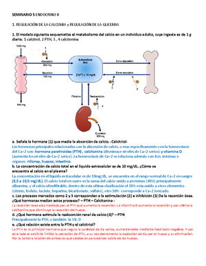 gradiente quimico y eléctrico - Gradiente químico: Paso de soluto no ...