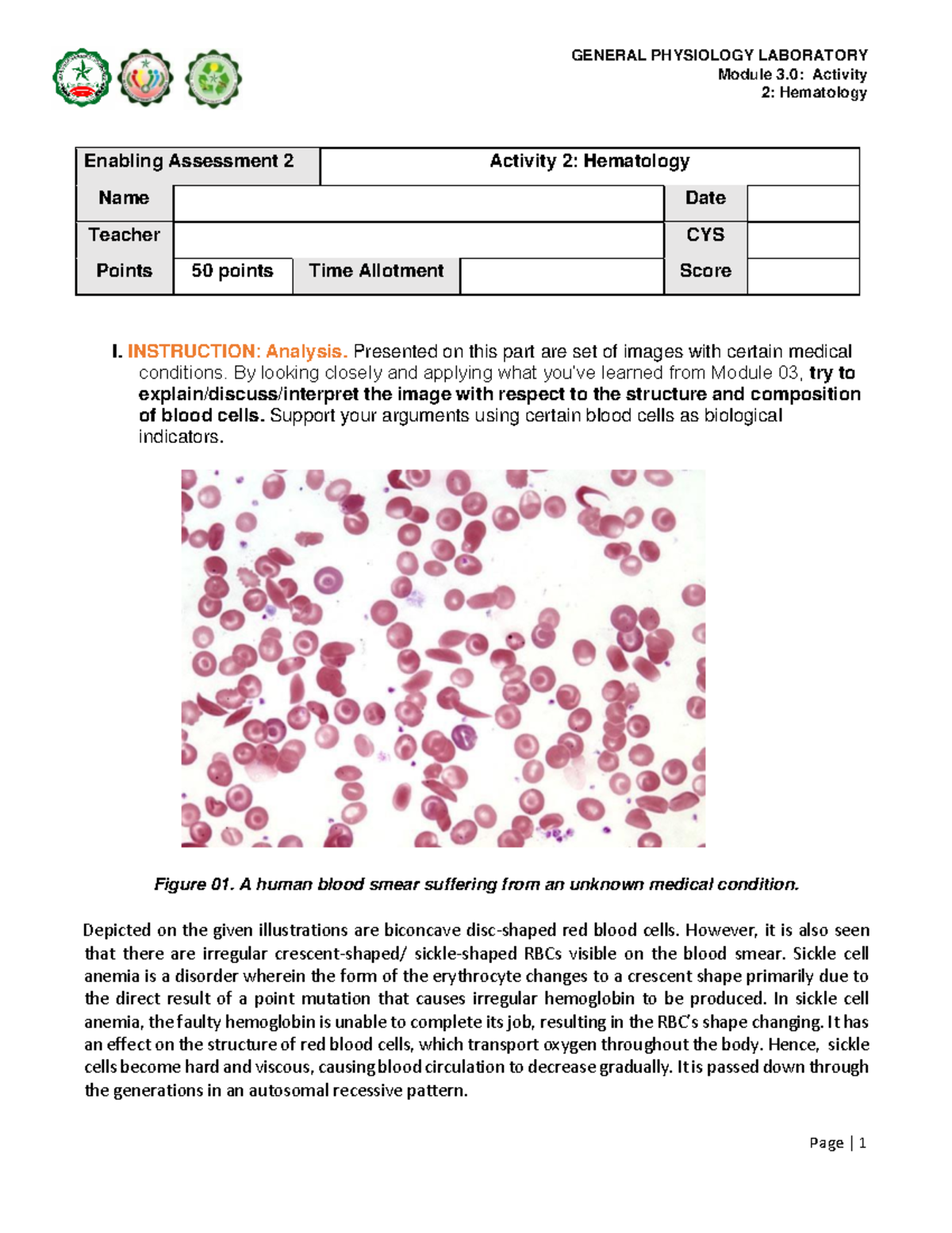Hematology - Case scenario diagnosis of RBCs and WBCs with guide ...