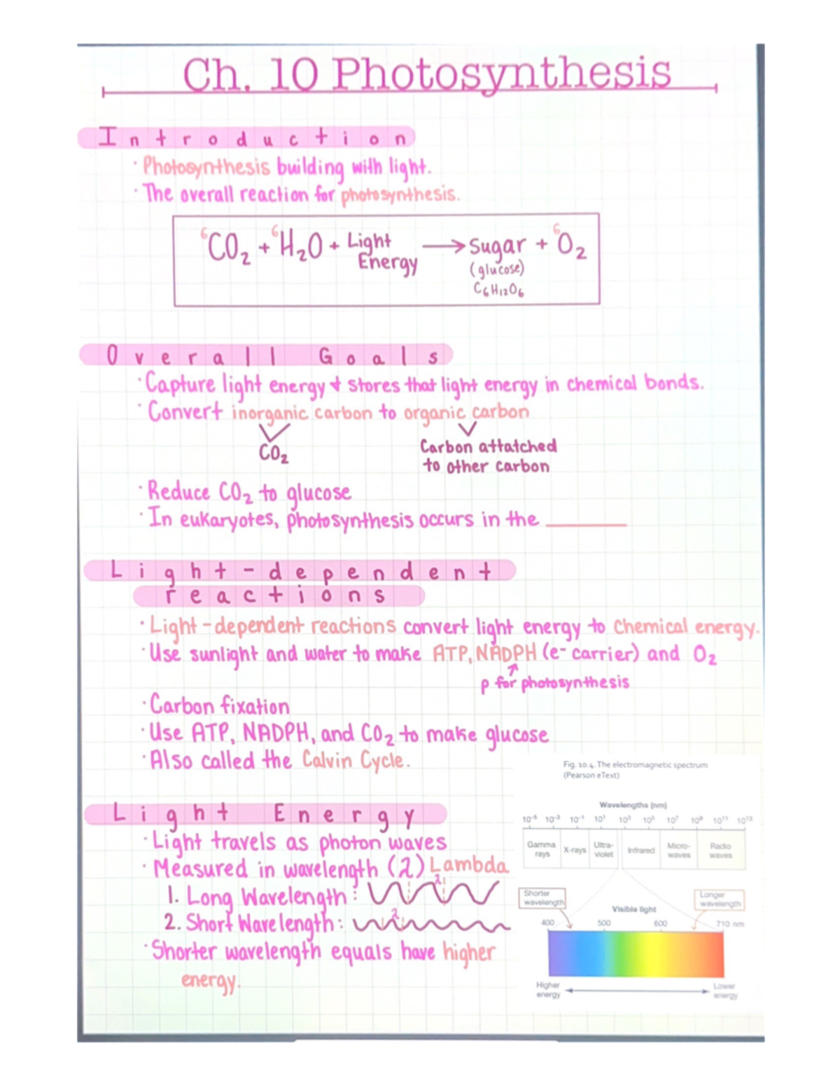 UWyo LIFE 1010 General Biology Ch. 10 Notes - LIFE 1010 - Studocu