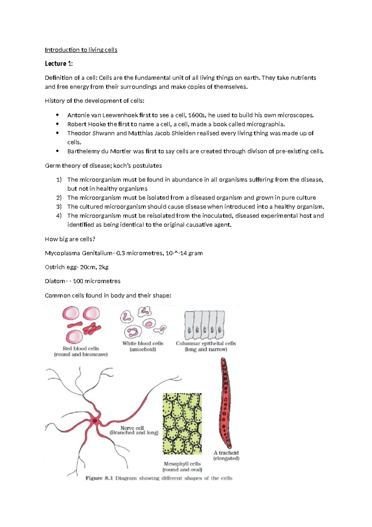Introduction to living cells - Introduction to living cells Lecture 1 ...
