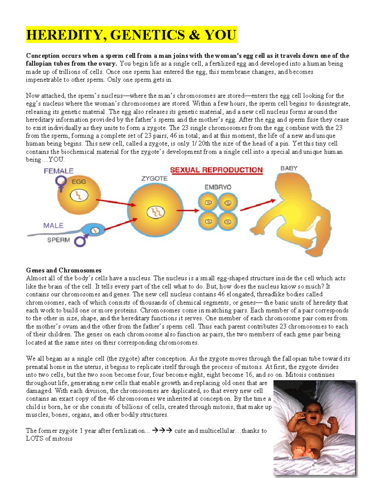 CH1 - Heredity and Genetics (Winter 2024) - HEREDITY, GENETICS & YOU ...
