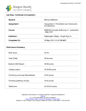 BSN 325 Practicum Time Sheet - BSN 325 Community Health Project Time ...