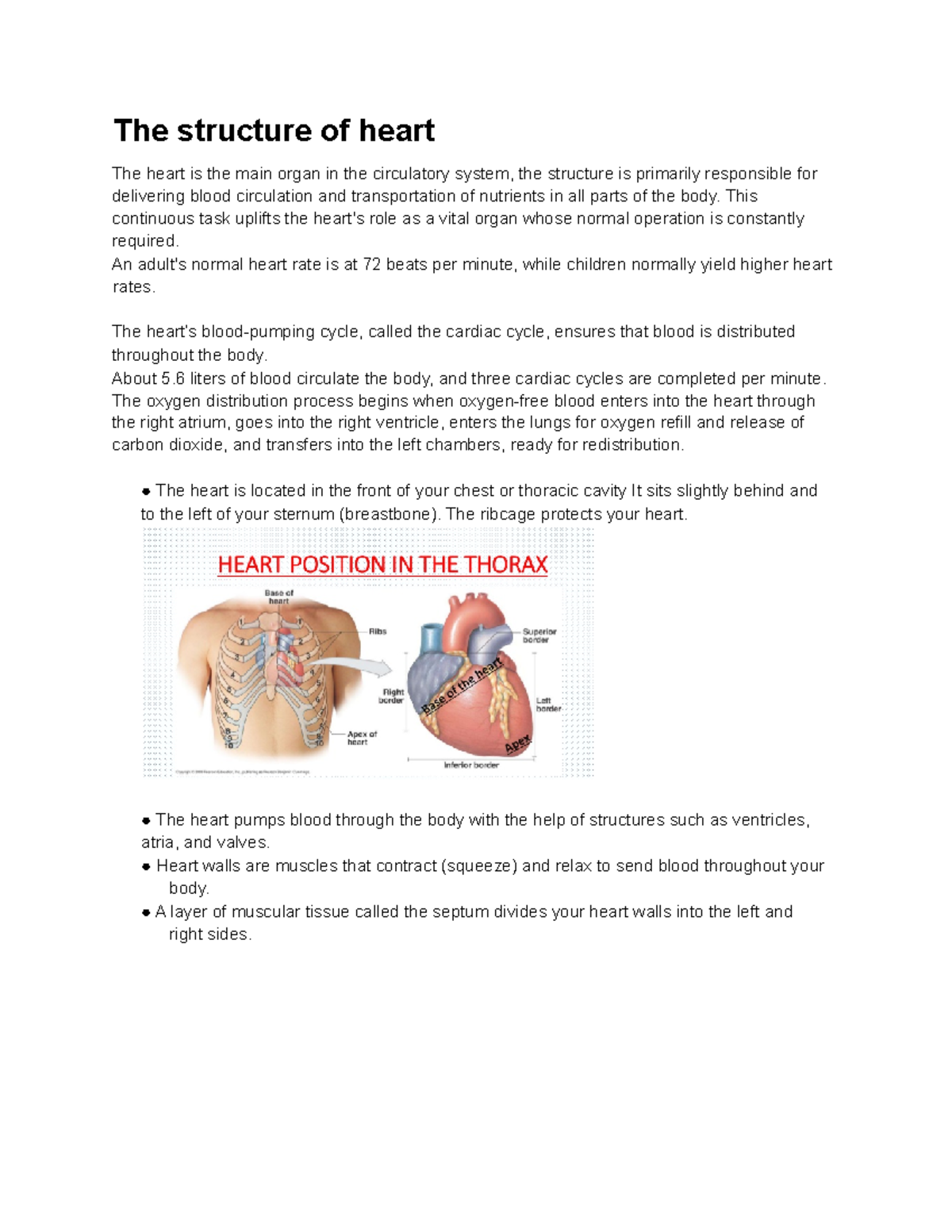 Circulatory system. The heart structure and function - The structure of ...
