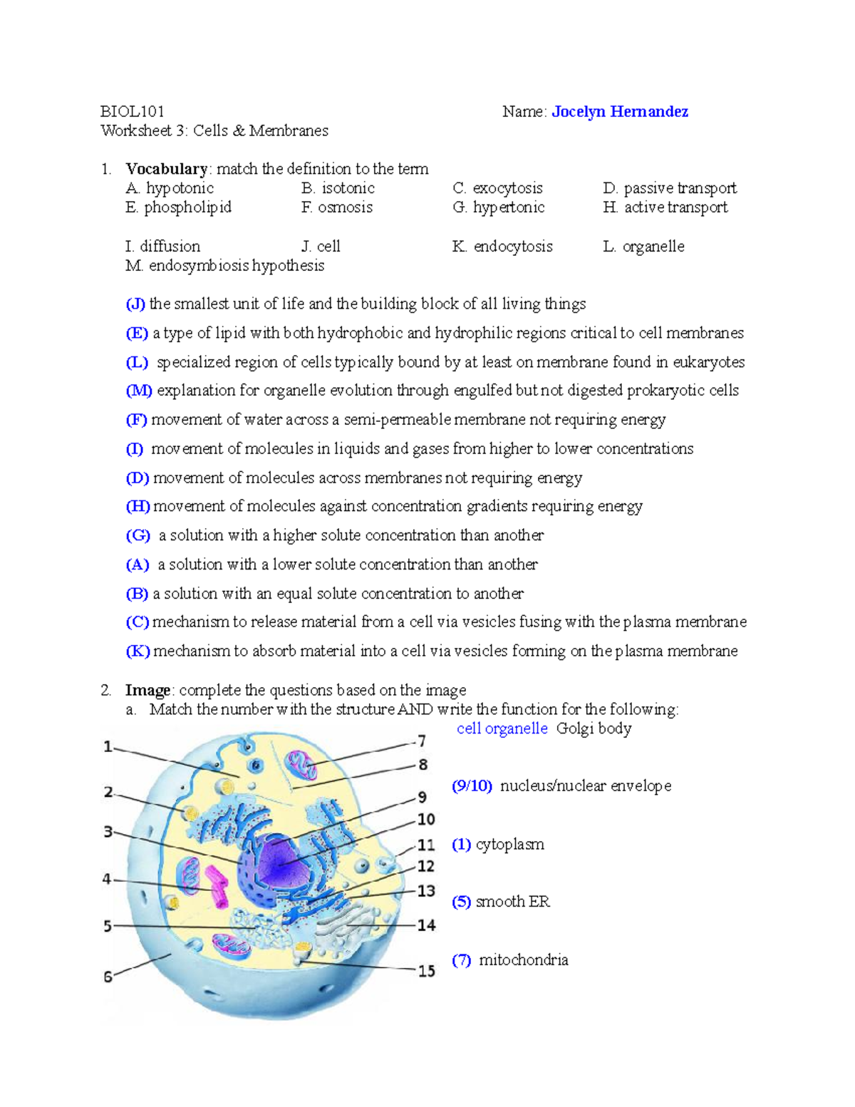 101+WS3+fa23 - Worksheet - BIOL101 Name: Jocelyn Hernandez Worksheet 3 ...