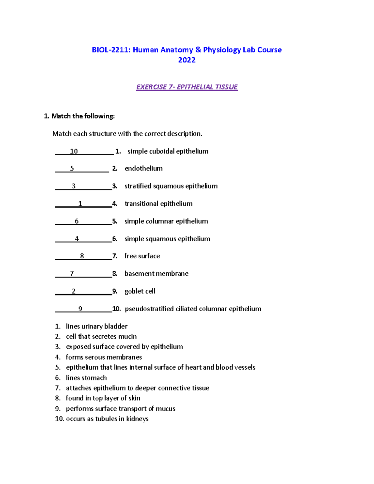 BIO Final Assignment - Brain Anatomy TERMS - BIOL-2211: Human Anatomy ...