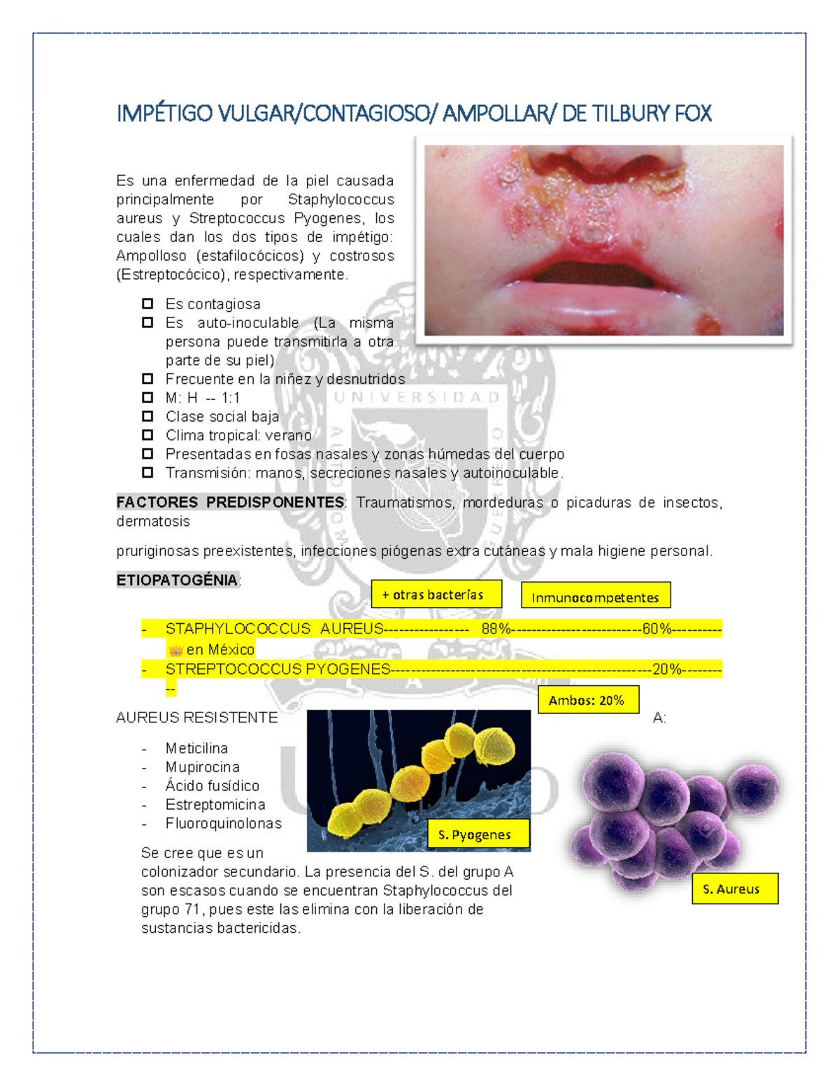 Impétigo Vulgar - Caracteristicas, tipo, fisiopatología, tratamiento ...