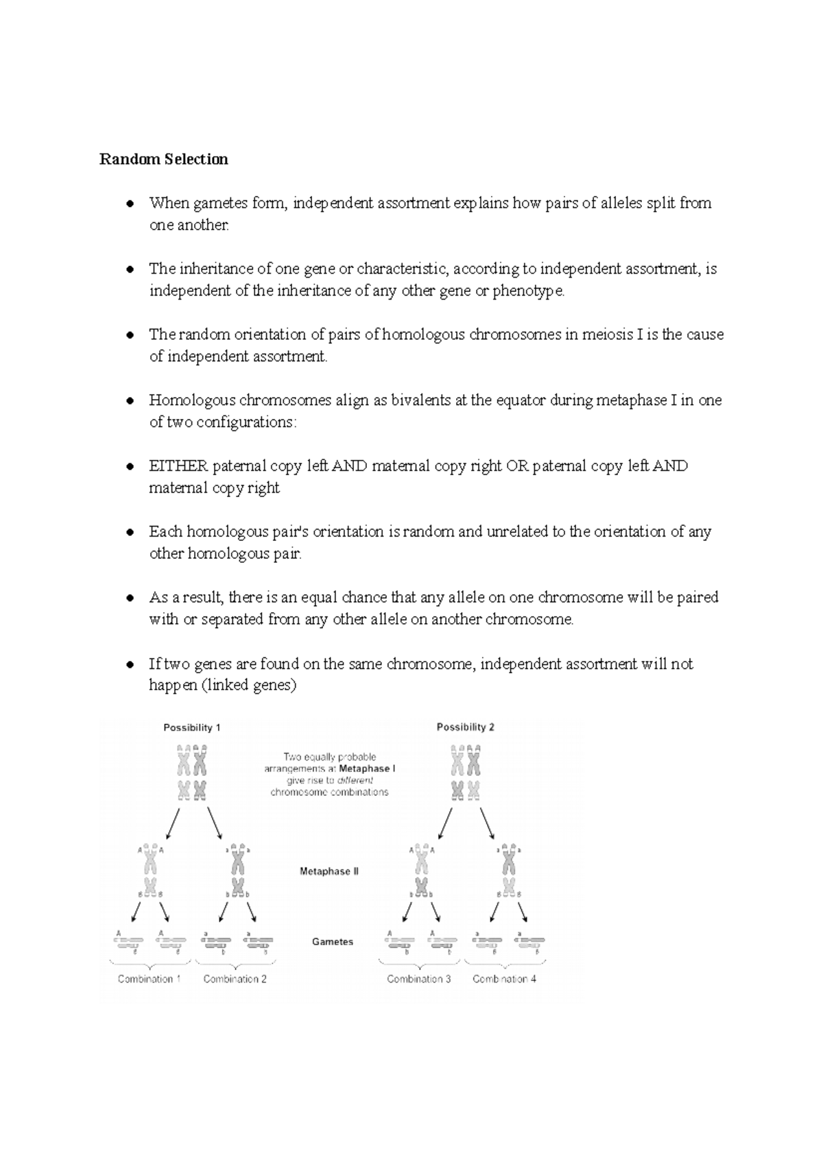Random Selection - Random Selection When gametes form, independent ...
