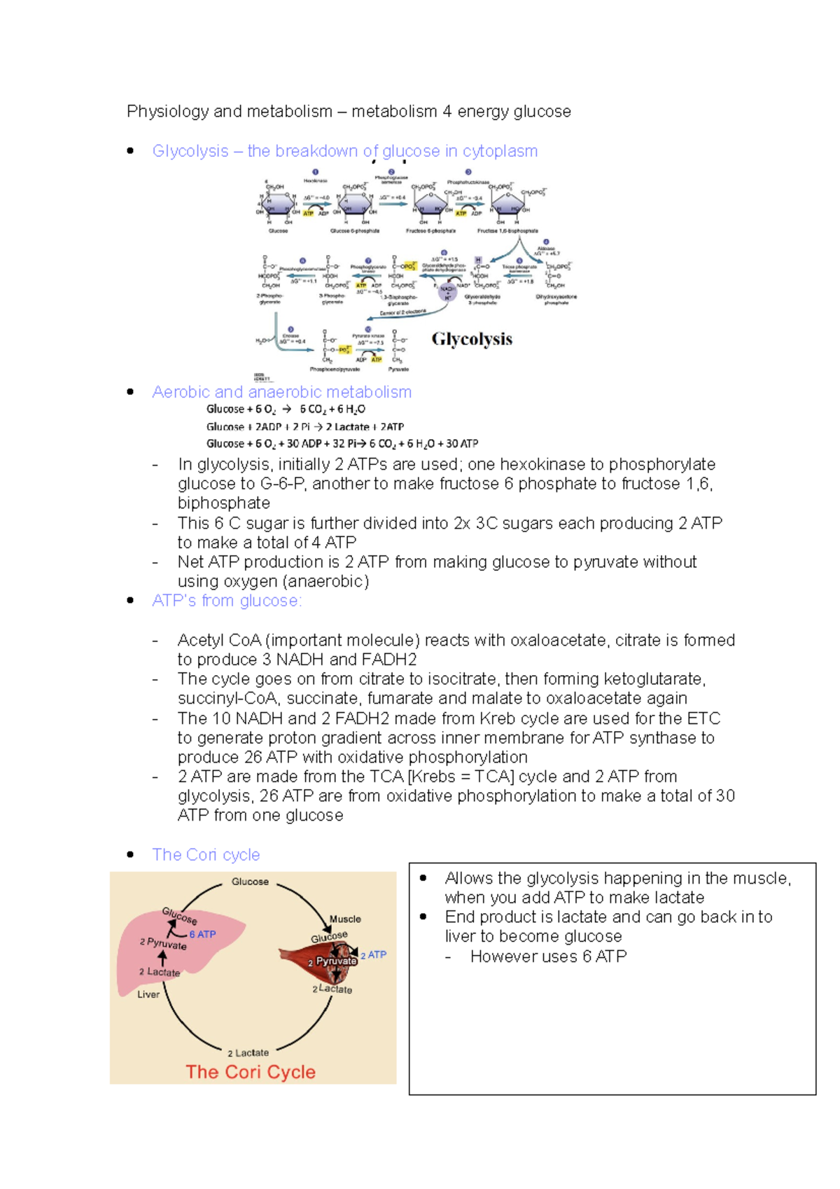 Physiology and metabolism 4 energy glucose - Physiology and metabolism ...