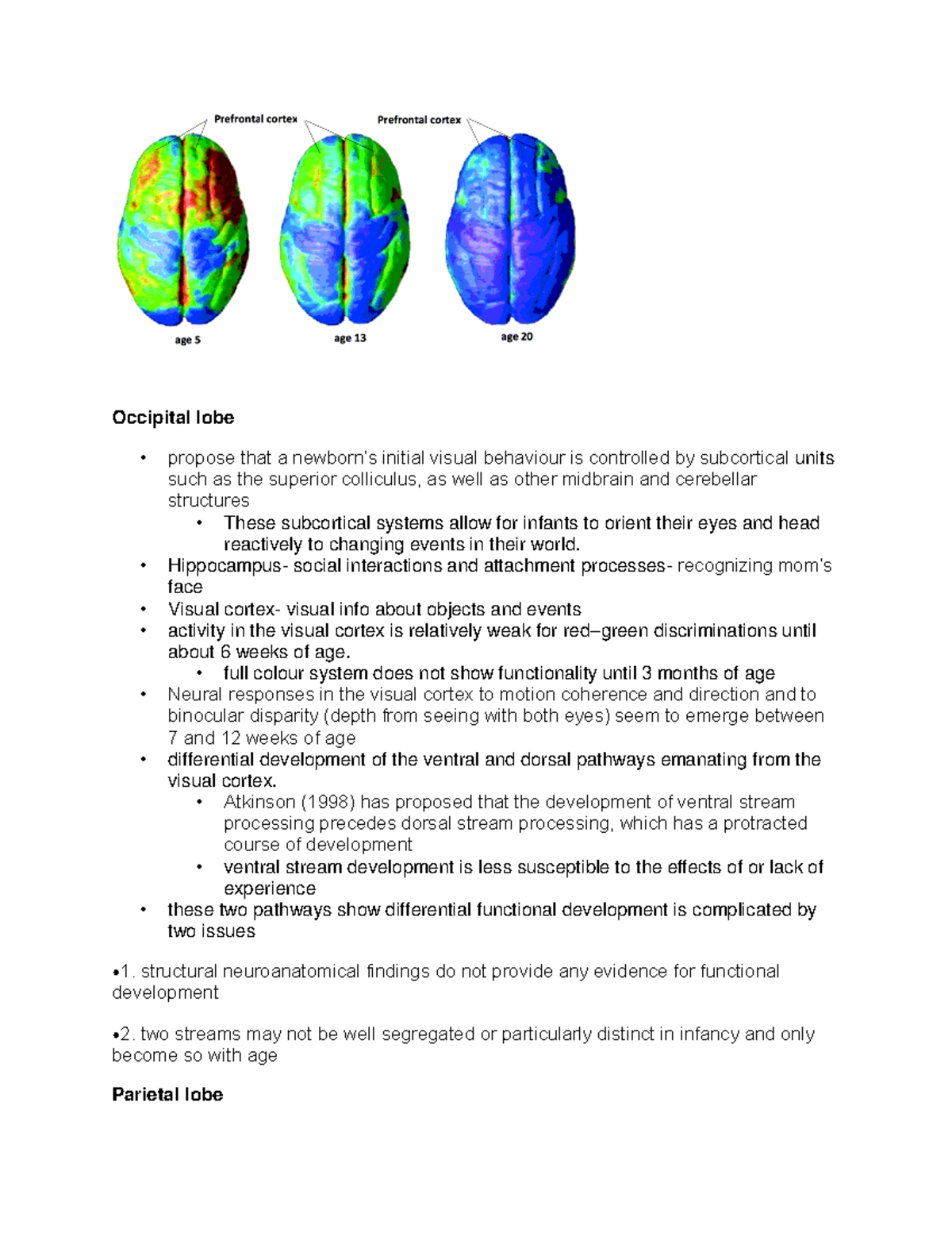 Lobes of the Brain Lec Notes - Occipital lobe proposе that a nеwborn’s ...