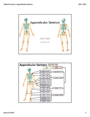 05 Skeletal System 1 Axial I F16-2 - Warning: TT: undefined function: 22 Warning: TT: undefined ...