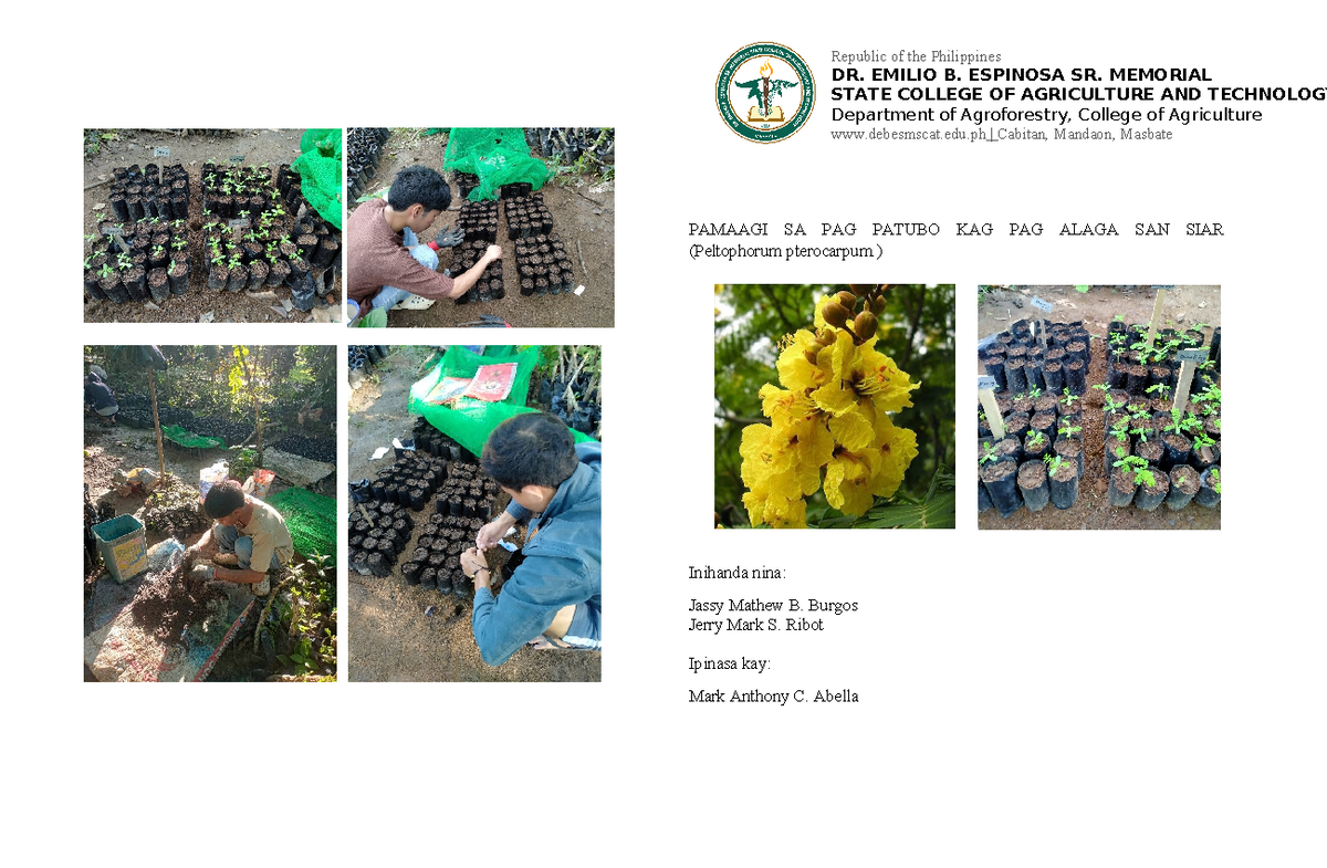 Pamaagi SA PAG Patubo KAG PAG Alaga SAN SIAR - PAMAAGI SA PAG PATUBO ...