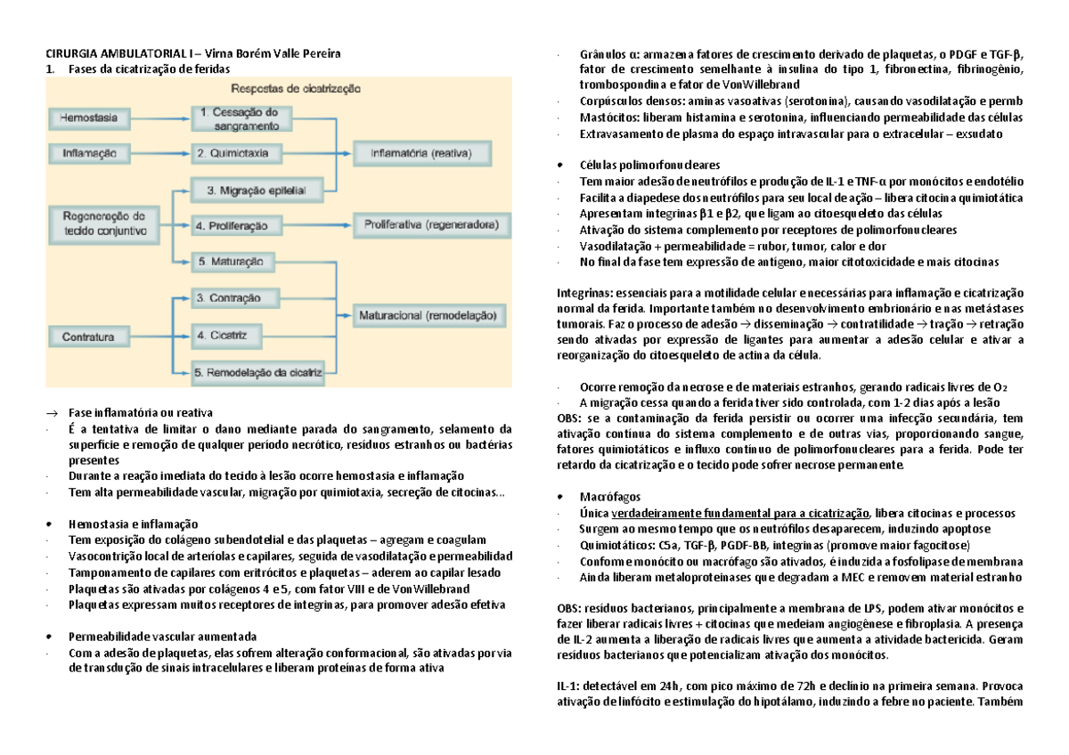 Fases da cicatrização de feridas - Vitor - CIRURGIA AMBULATORIAL I ...