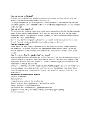 The Diamond Necklace - all new - Disclaimer: This is a machine ...