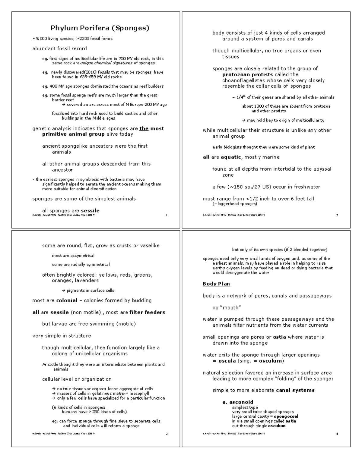 Phylum-Porifera - notes - Animals – Animal Phyla: Porifera; Ziser ...