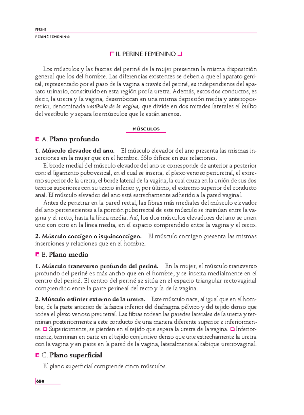 Perine femenino - 7 II. PERINÉ FEMENINO 0 Los músculos y las fascias ...