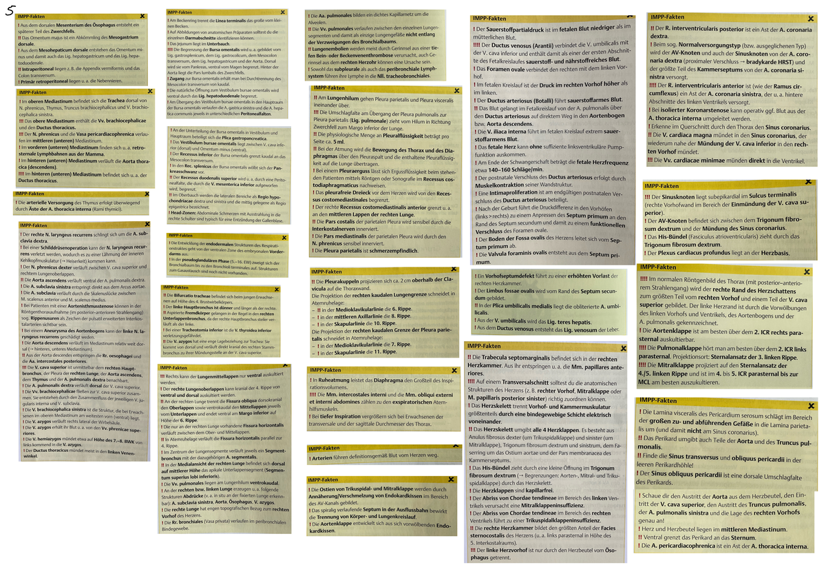 IMPP Fakten Nr2 5,6,7,8 - x Die Aa. pulmonales bilden ein dichtes ...