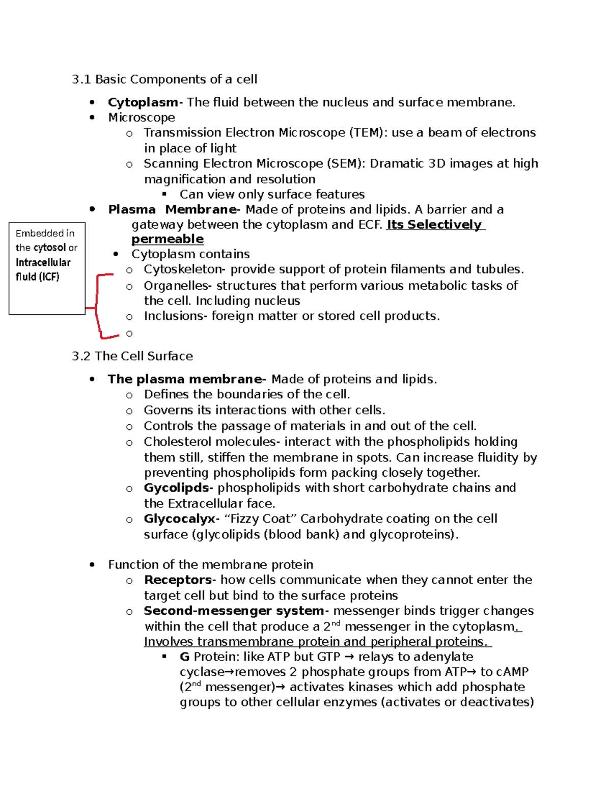 Chapter 3 - cellular form and function - 3 Basic Components of a cell ...