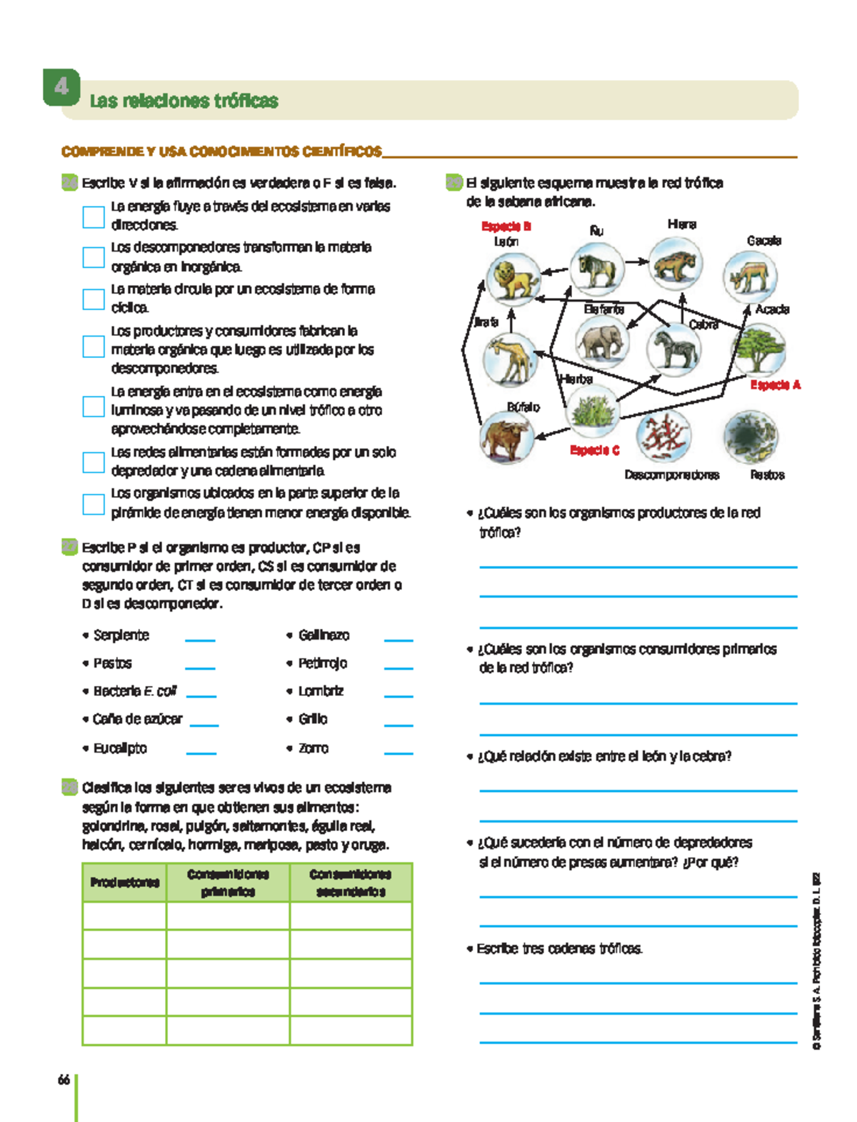 Ecosistema 1 - practica sobre el medio ambiente - COMPRENDE Y USA CONOCIMIENTOS - Studocu