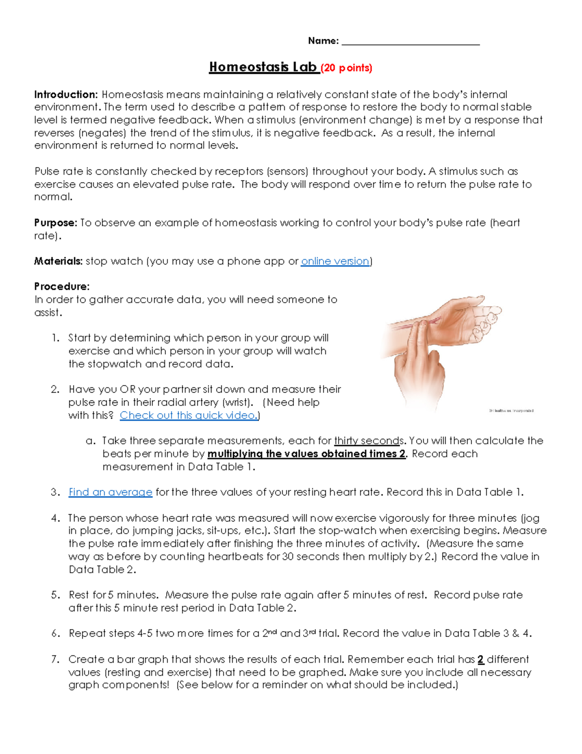 Homeostasis Portfolio- Option B Activity - Name ...