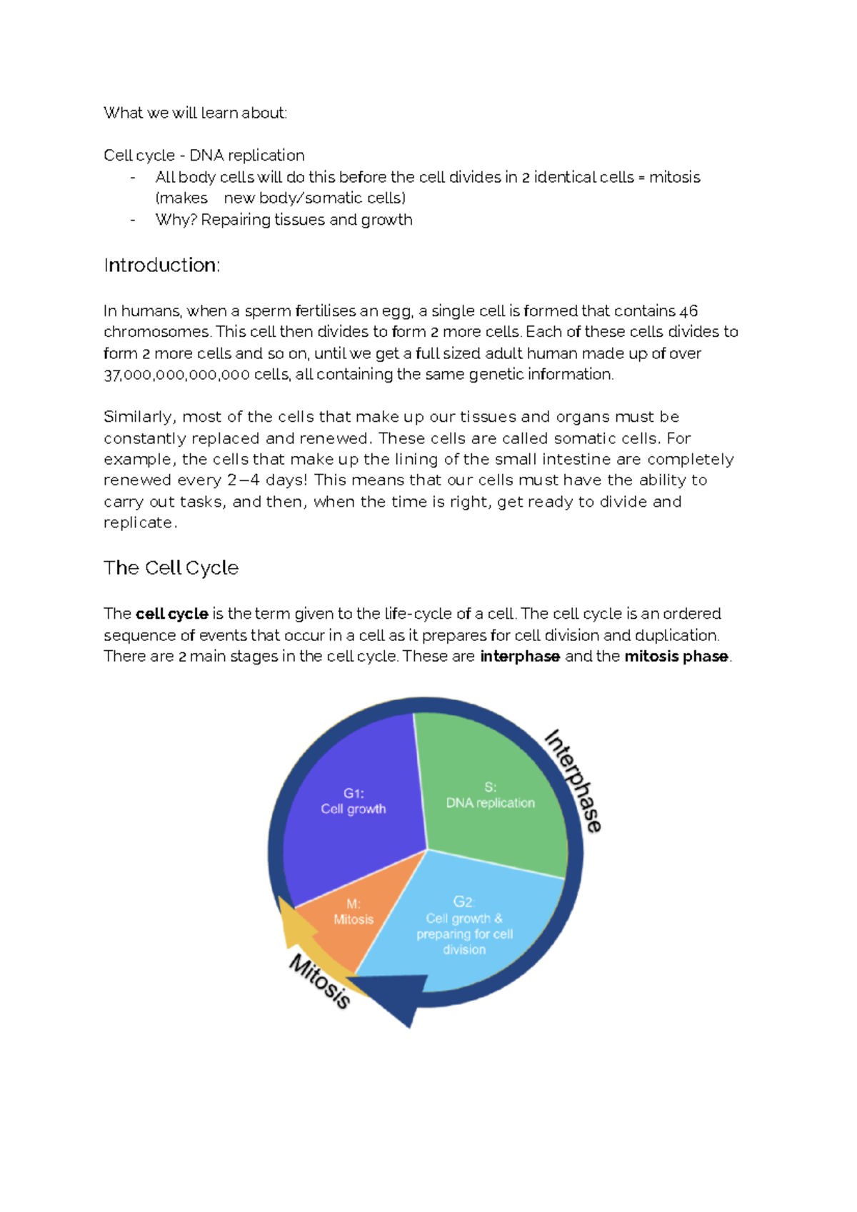Cell Cycle DNA Replication, year 12 notes NCEA - What we will learn ...