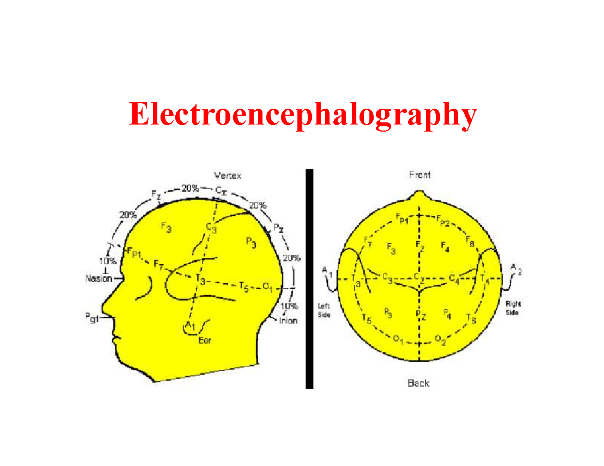 EEG Lecture notes - The Course was taken by Dr. Quazi Delwar Sir ...
