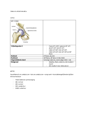 Praktijk heup - Praktijk heup BOTSTRUCTUREN ANTERIEUR BEKKEN - SIAS ...
