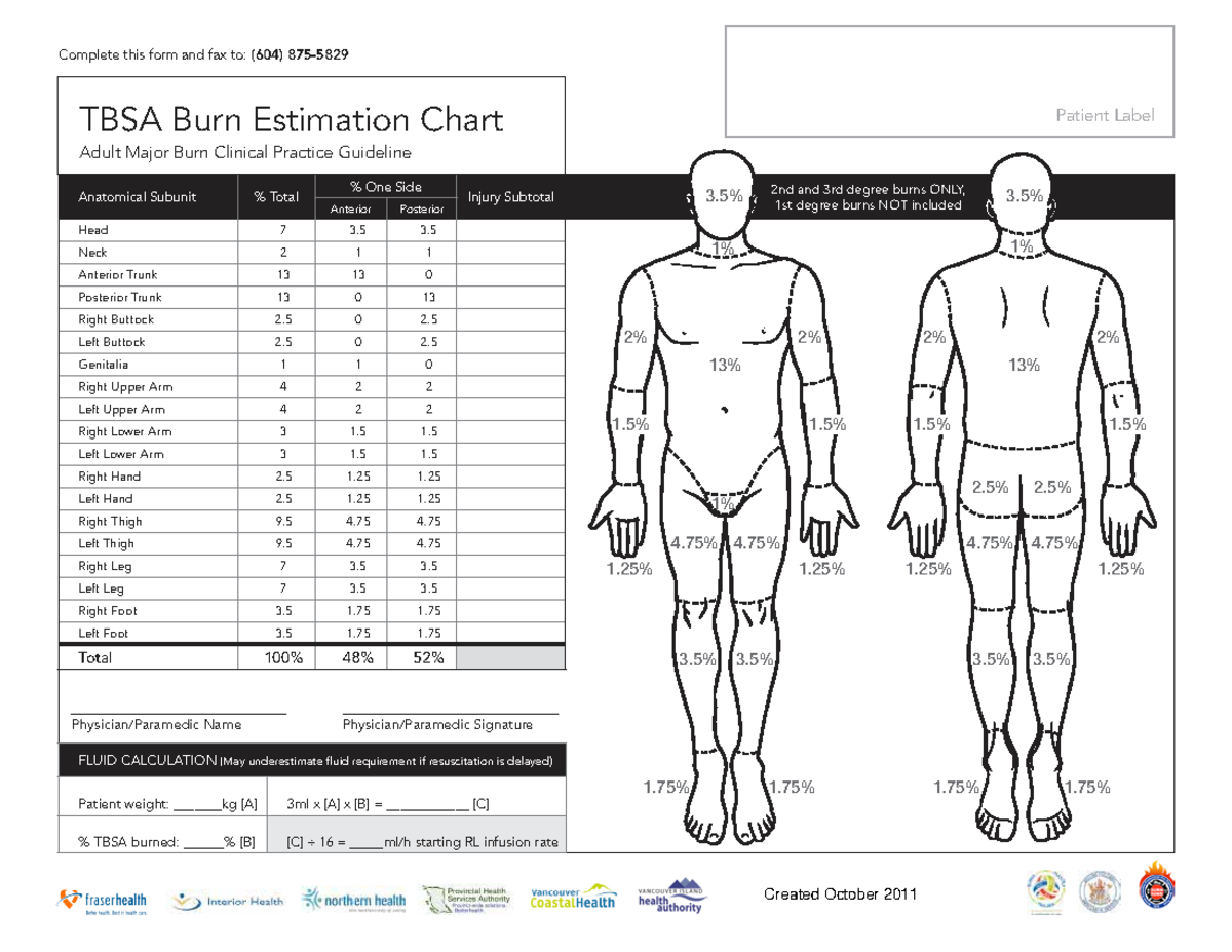 Tbsaburnestimationchart 1 - 2nd and 3rd degree burns ONLY, Anatomical ...