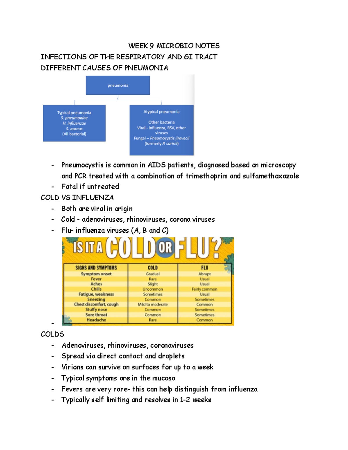 WEEK 9 Microbio Notes - WEEK 9 MICROBIO NOTES INFECTIONS OF THE ...