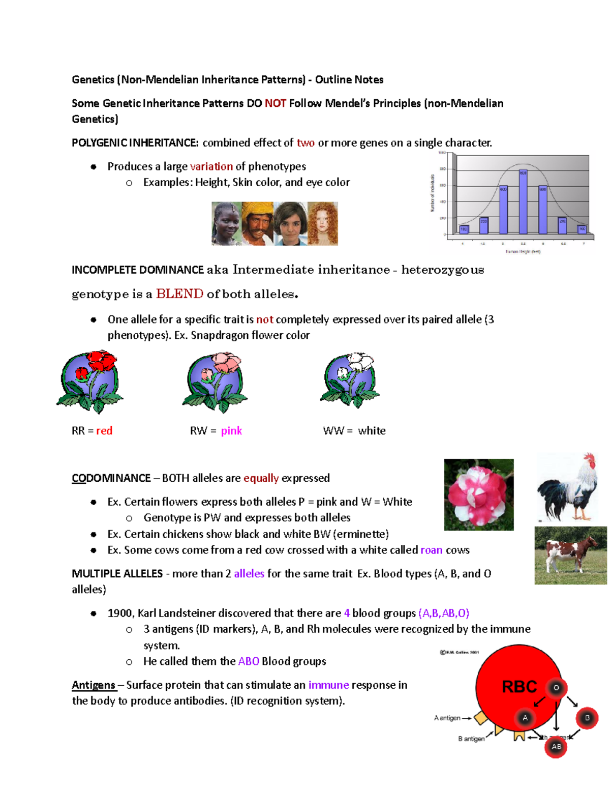 Amberly He - Genetics Inheritance Patterns - Outline notes - 3996968 ...