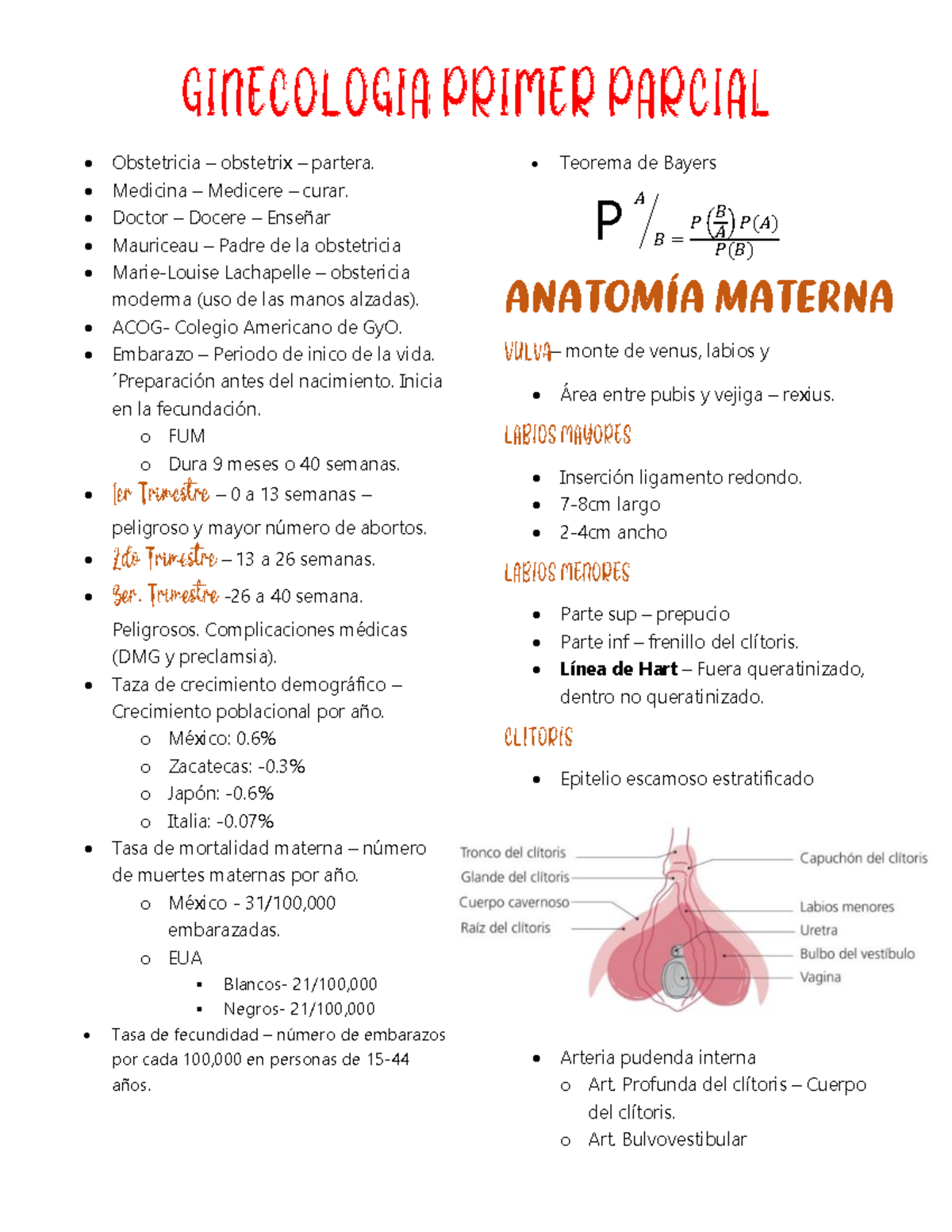 Guía 1er parcia obstetricia - P Obstetricia – obstetrix – partera ...