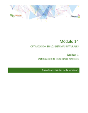 GUIA DE Estudio Modulo 20 - GUIA DE ESTUDIO MÓDULO 20: OPTIMIZACIÓN EN ...